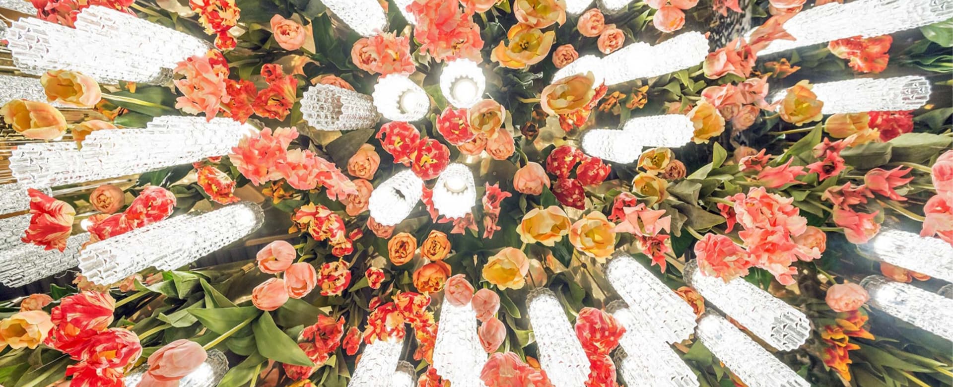 VG. Коллекция Flower Power. Красота природы в разные времена года